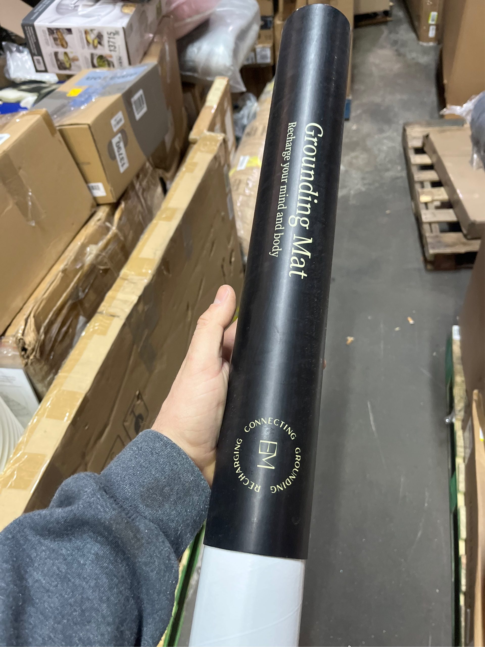 AUCT 15114 – $70 Earth and Moon Grounding Mat for Bed 24x35in ...