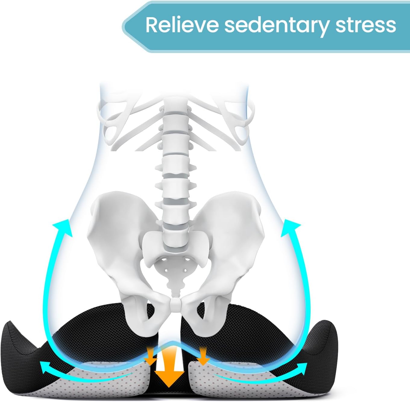 AUCT 585 – Extra Large Memory Seat Cushion for Office Chair P ...